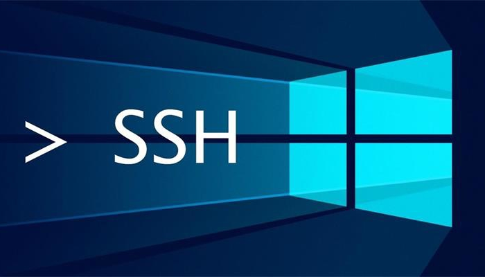 Xshell、MobaXterm等5款主流SSH客户端对比_类似mobaxterm-CSDN博客