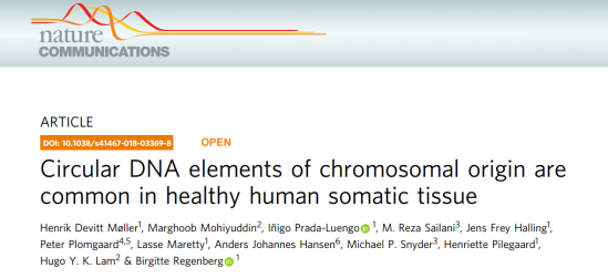 eccdna的研究-CSDN博客