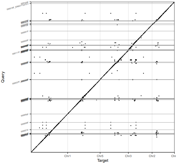 NECAT: Nanopore数据的高效组装工具-CSDN博客