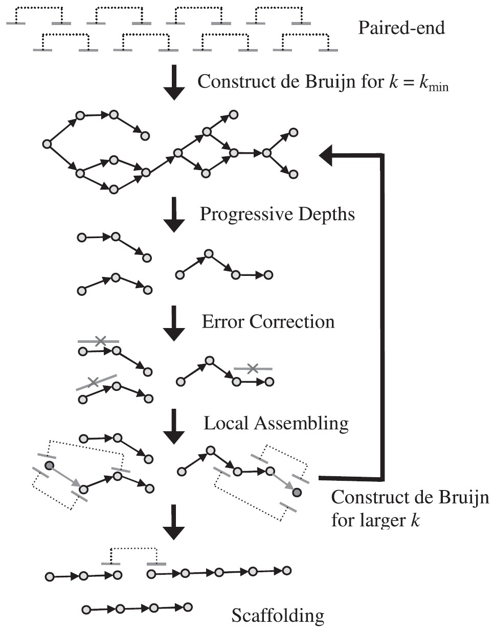 IDBA-UD：组装非均匀覆盖度的宏基因组和单细胞数据-CSDN博客