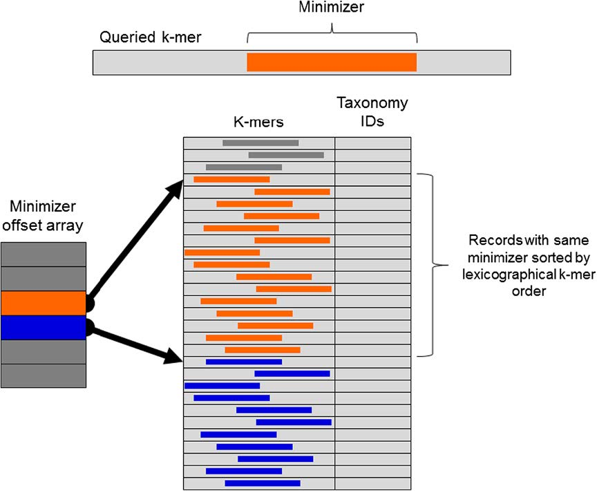 Kraken：使用精确比对的超快速宏基因组序列分类软件_ultrafast metagenomic sequence ...