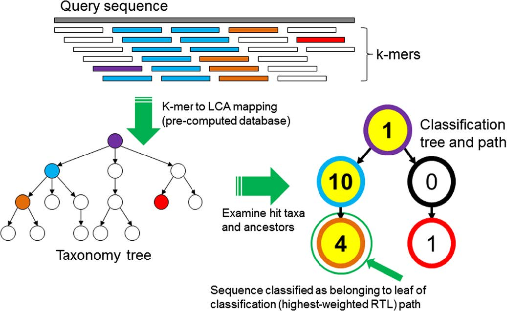 Kraken：使用精确比对的超快速宏基因组序列分类软件_ultrafast metagenomic sequence classification usin-CSDN博客