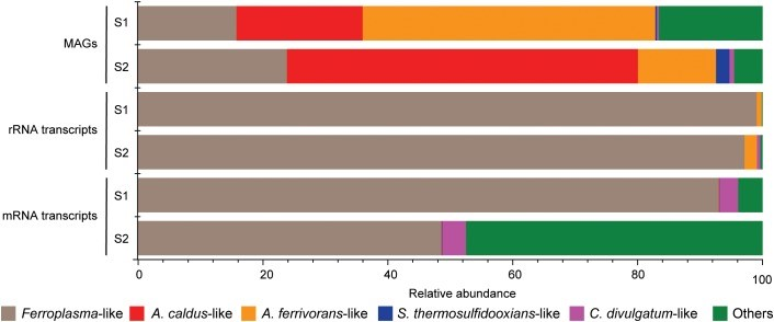 FM：代谢无机硫化合物的古菌Ferroplasma可介导细胞外电子传递_刘永鑫的博客——宏基因组公众号-CSDN博客