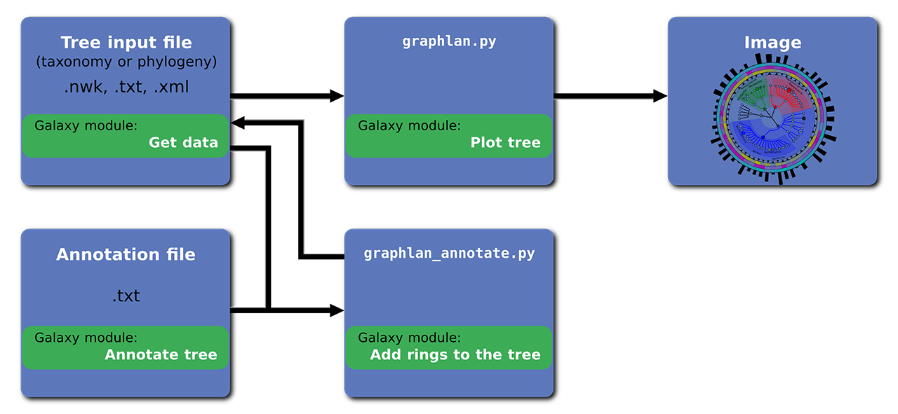GraPhlAn教程中文版——超炫物种树进化树绘制-CSDN博客