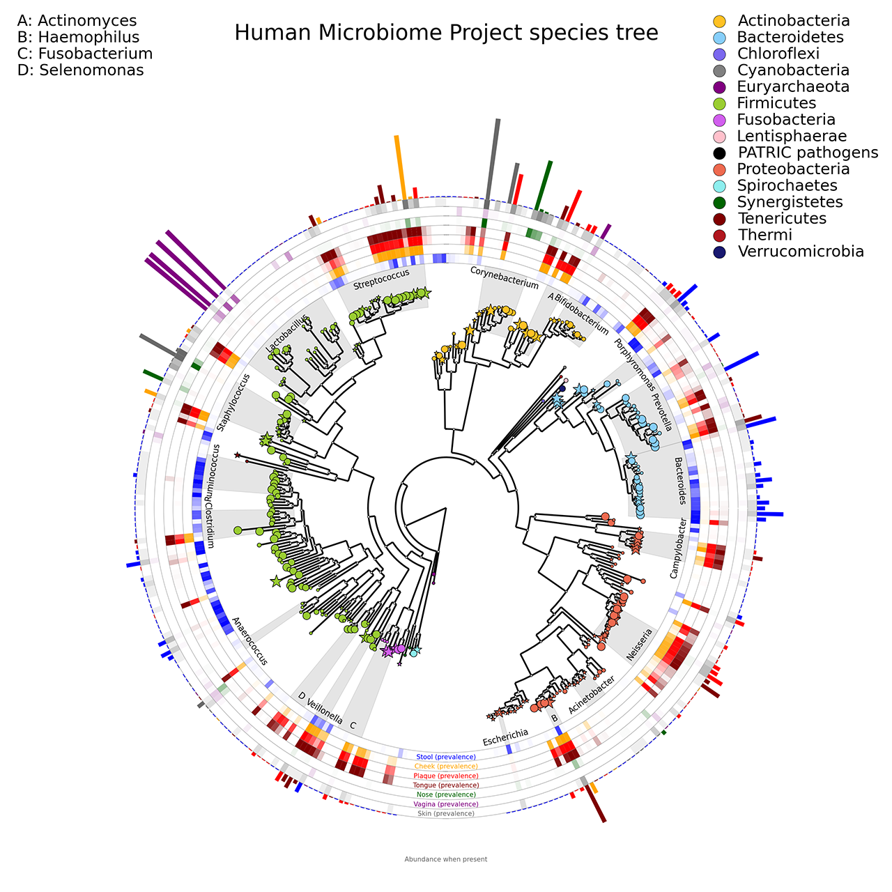 GraPhlAn教程中文版——超炫物种树进化树绘制-CSDN博客