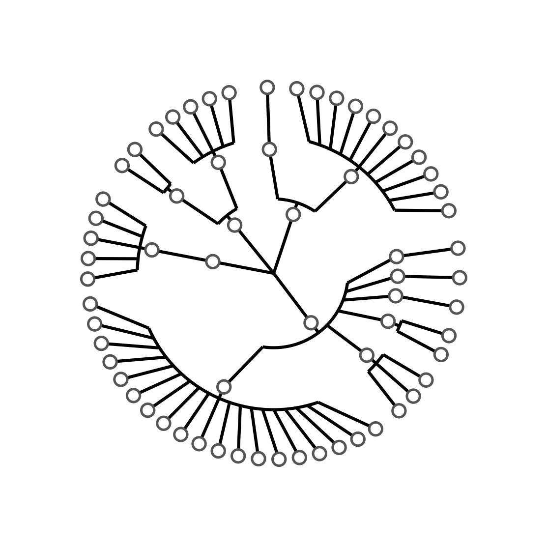 GraPhlAn教程中文版——超炫物种树进化树绘制-CSDN博客