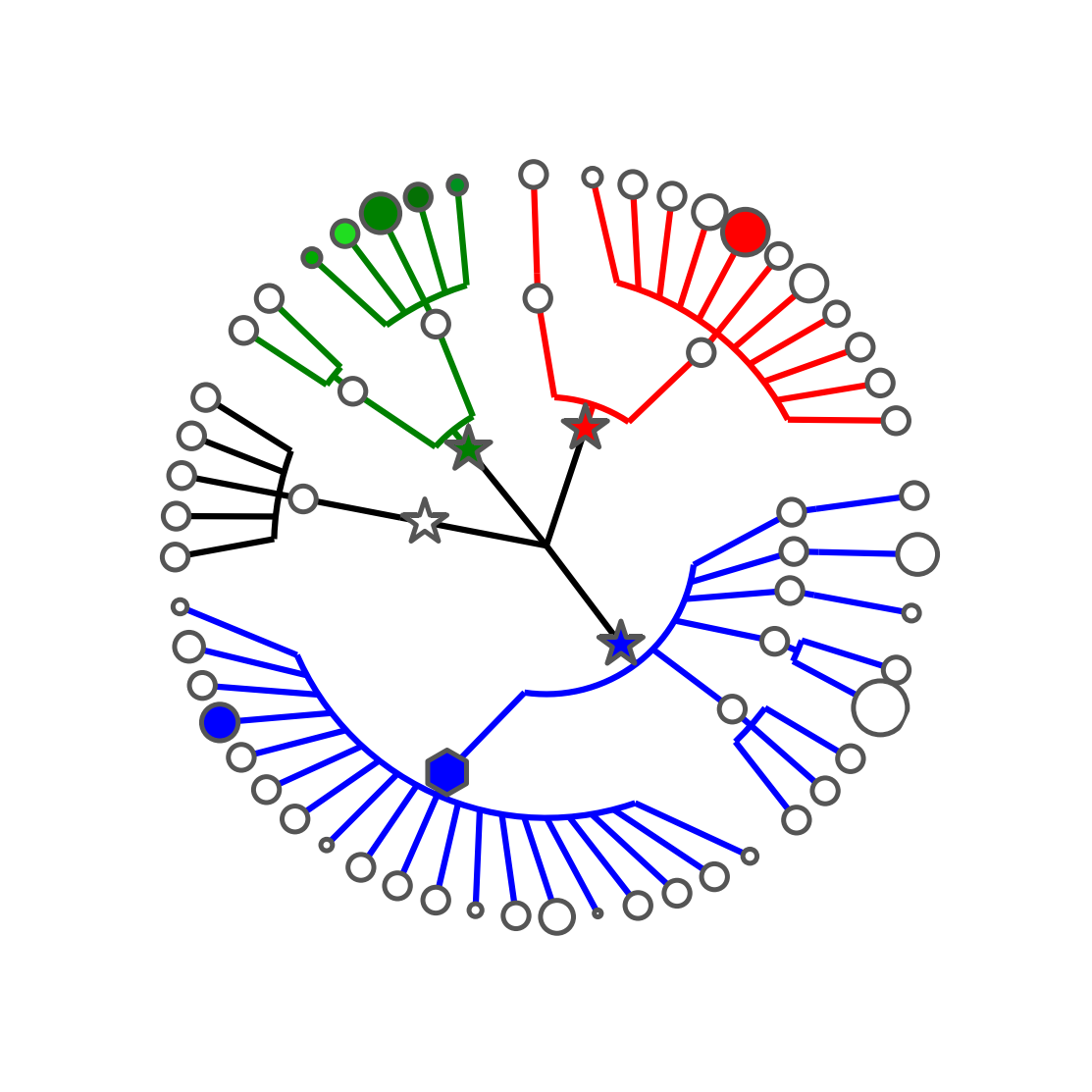 GraPhlAn教程中文版——超炫物种树进化树绘制-CSDN博客