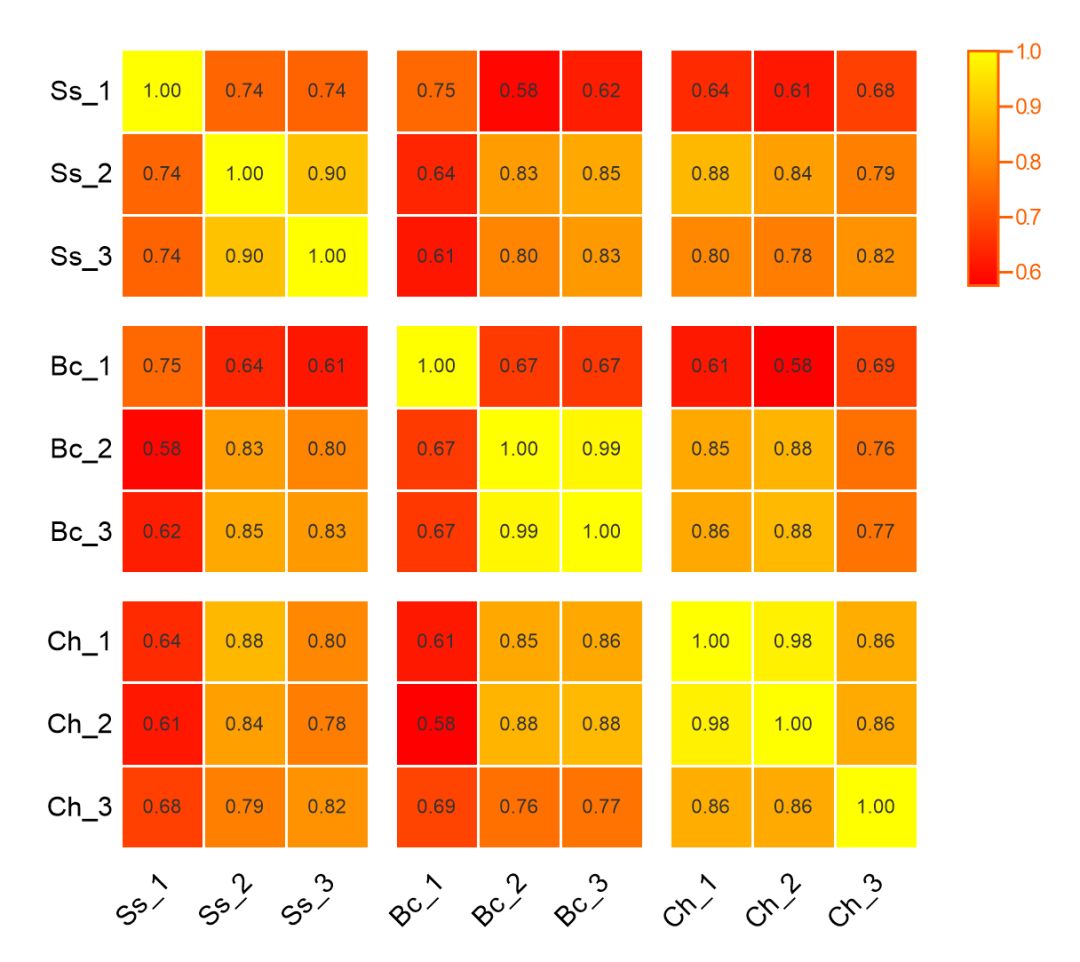 如何用GraphPadPrism绘制热图_graphpad怎么做聚类热图-CSDN博客