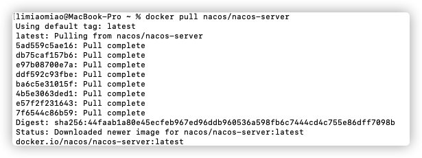 Docker安装Nacos_本地连接宝塔docker中的nacos-CSDN博客