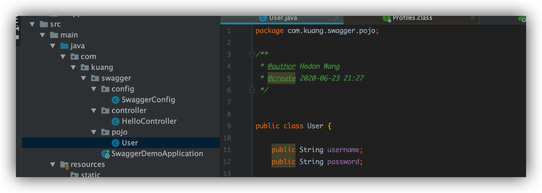 超详细 Swagger 使用指南（附带注解总结和源码）_swagger使用-CSDN博客