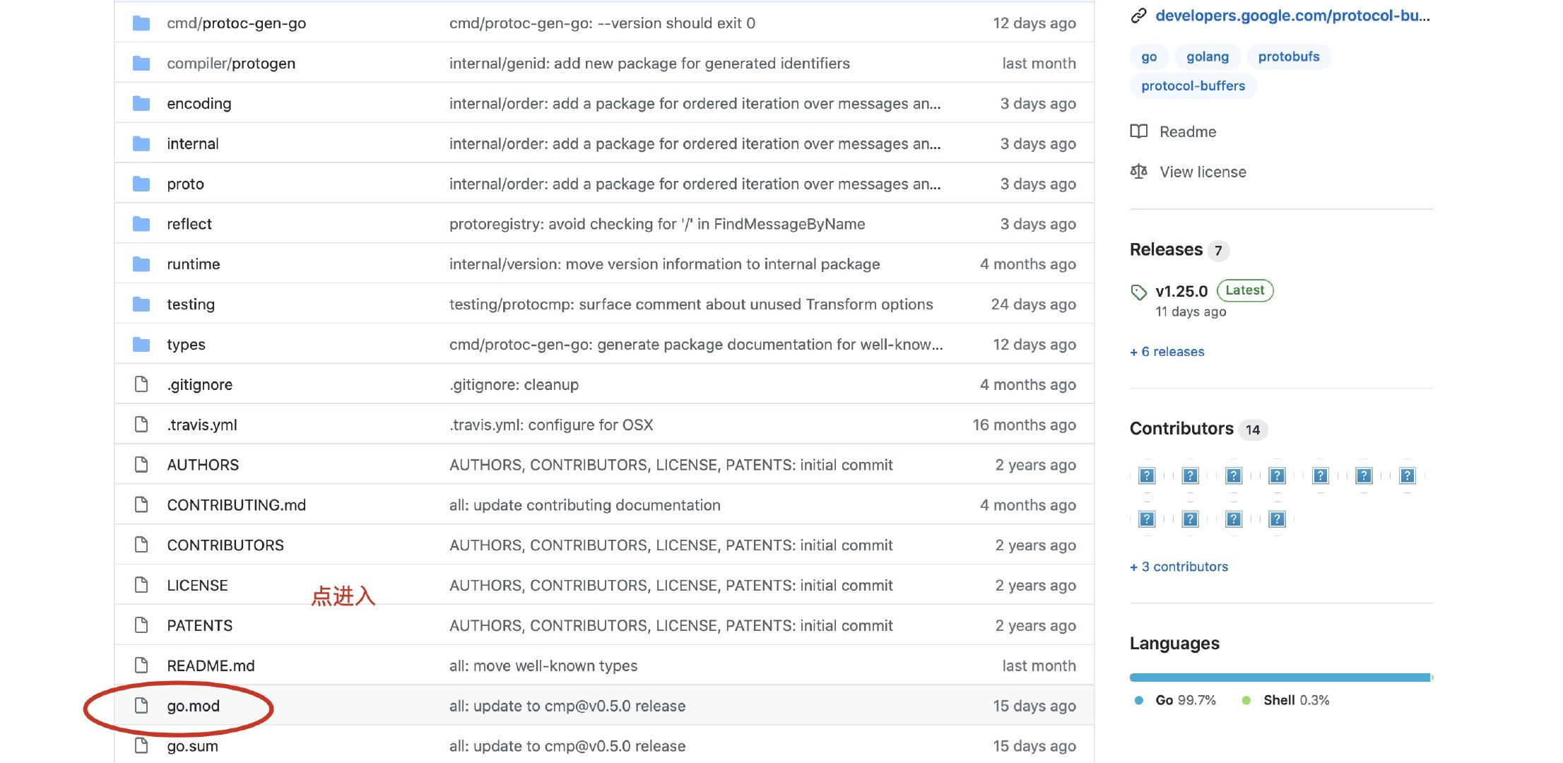 grpc-go google.golang.org/protobuf/compiler/protogen-CSDN博客
