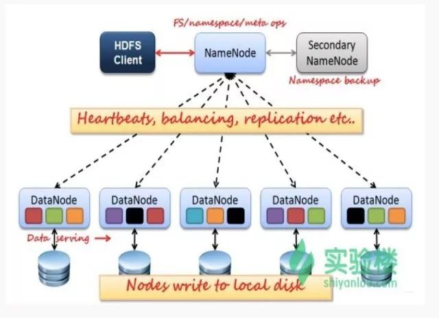 大数据学习菜鸟的Hadoop快速入门基础教程汇总详细解答_大数据菜鸟教程-CSDN博客