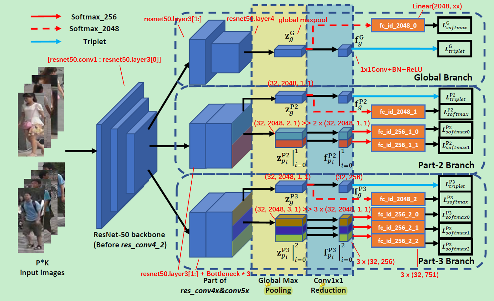 【ReID】Learning Discriminative Features with Multiple Granularities for ...