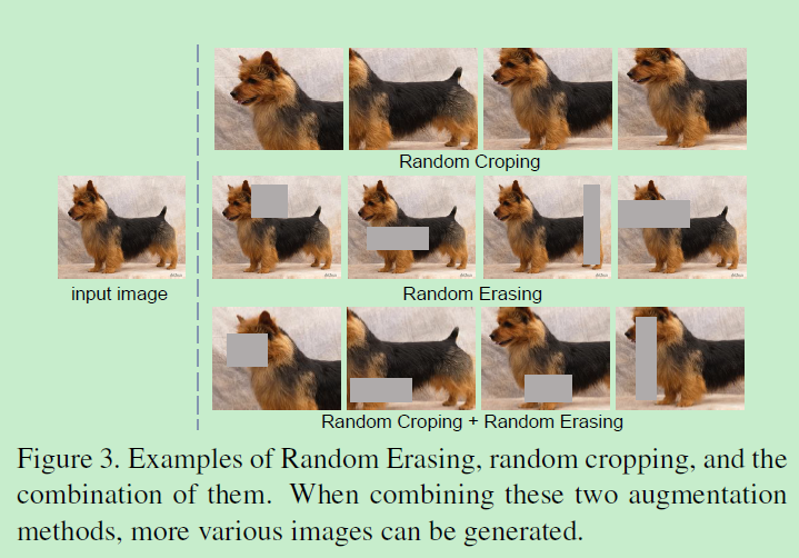【ReID】【skimming】Random Erasing Data Augmentation-CSDN博客