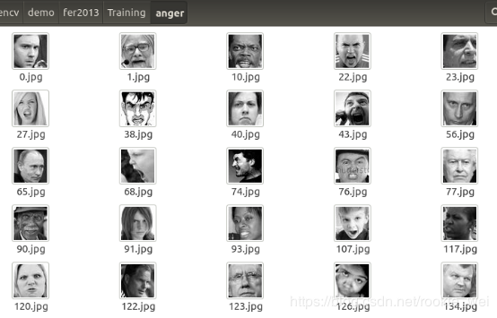 fer2013人脸表情数据集简介_fer2013数据集介绍-CSDN博客