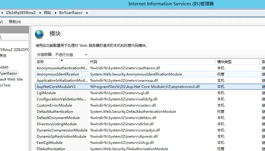 .Net Core 3.1 项目发布到IIS教程_netcore3.1 部署iis cors-CSDN博客