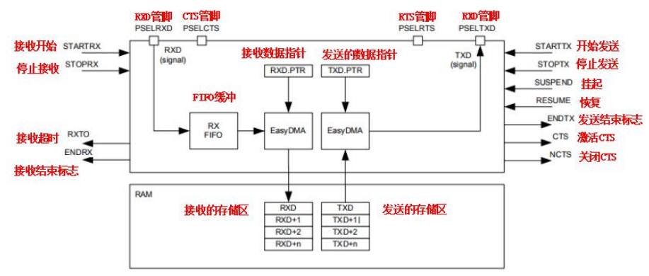 NRF52832学习笔记（12）——UART串口使用_nrf52832 串口输入-CSDN博客