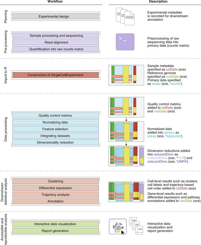 如何使用Bioconductor进行单细胞分析？_bioconductor教程-CSDN博客