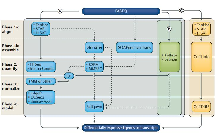 Nature重磅综述 |关于RNA-seq，你想知道的都在这_新生rna 翻译组-CSDN博客