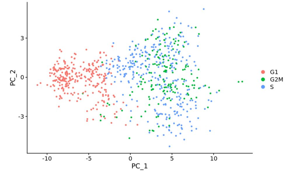 Seurat亮点之细胞周期评分和回归_cellcyclescoring 算法-CSDN博客
