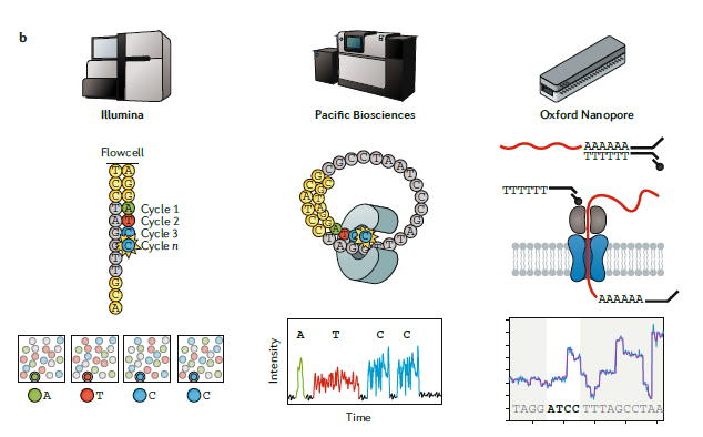 Nature重磅综述 |关于RNA-seq，你想知道的都在这_新生rna 翻译组-CSDN博客