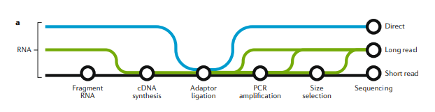Nature重磅综述 |关于RNA-seq，你想知道的都在这_新生rna 翻译组-CSDN博客