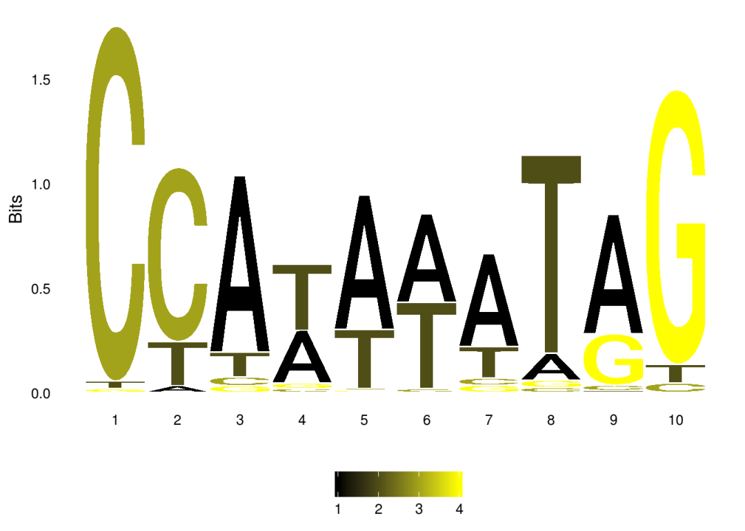 R包ggseqlogo |绘制序列分析图_序列偏好性作图-CSDN博客