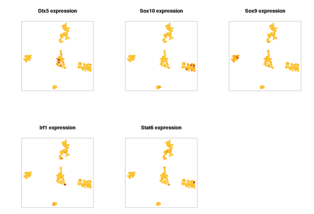 SCENIC | 从单细胞数据推断基因调控网络和细胞类型_binaryregulonactivity-CSDN博客