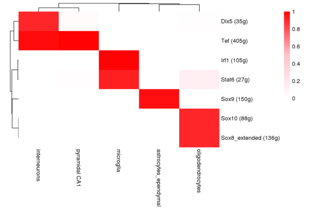 SCENIC | 从单细胞数据推断基因调控网络和细胞类型_binaryregulonactivity-CSDN博客