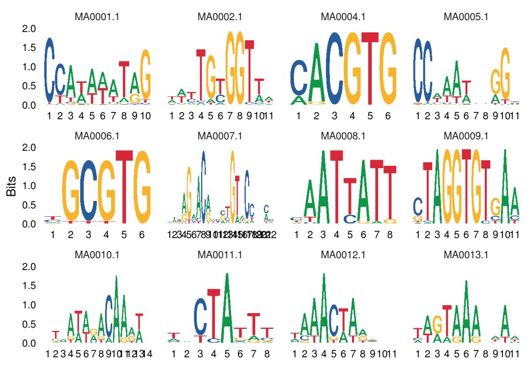 R包ggseqlogo |绘制序列分析图_序列偏好性作图-CSDN博客