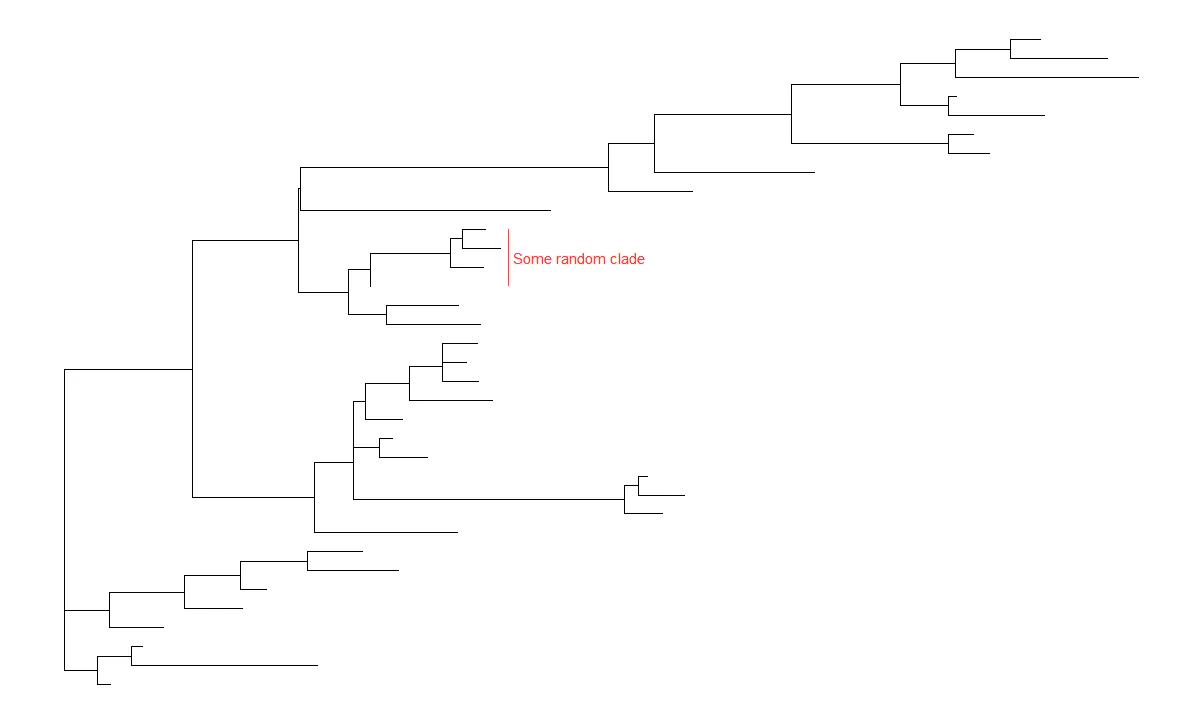 ggtree绘制进化树_ggtree 画进化树-CSDN博客
