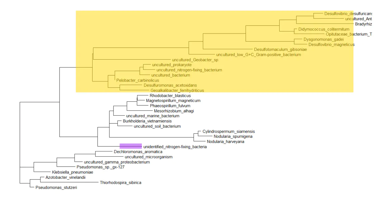 ggtree绘制进化树_ggtree 画进化树-CSDN博客