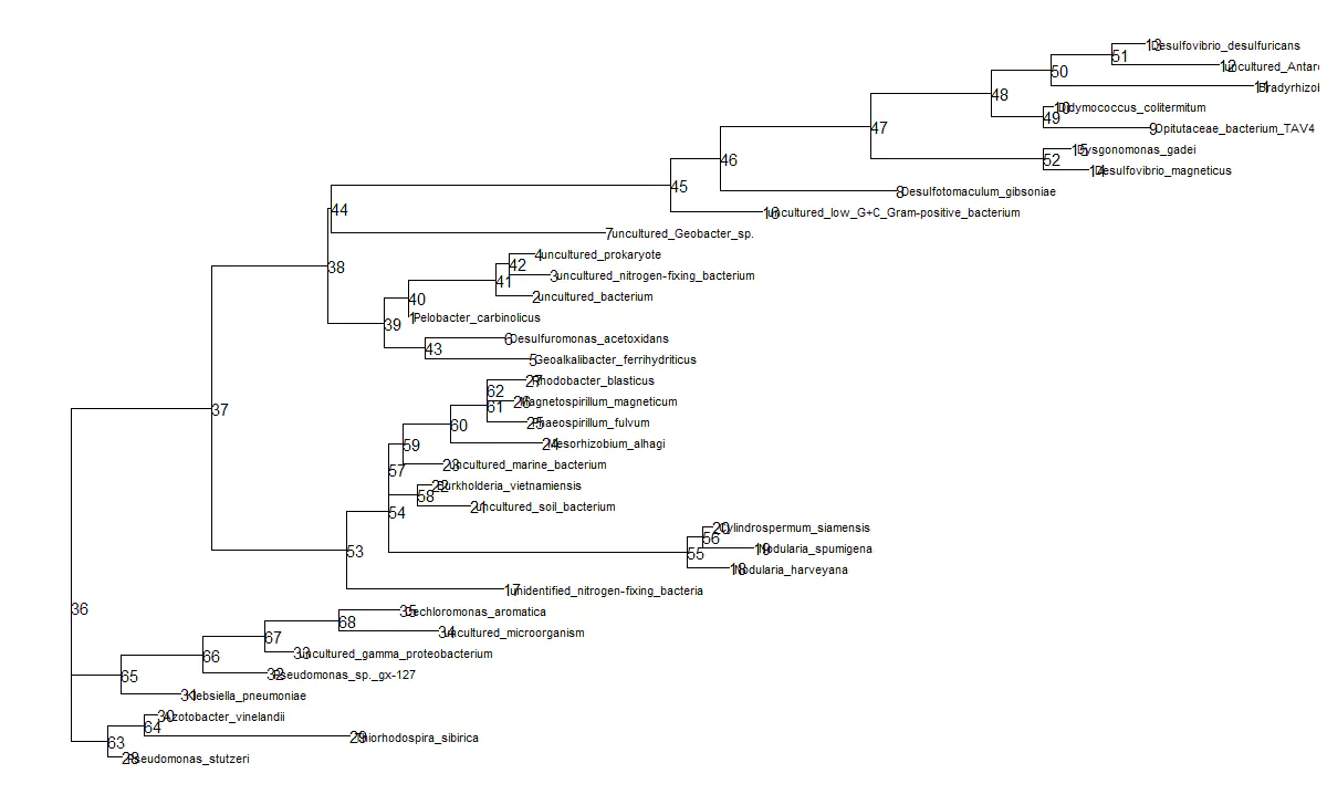 ggtree绘制进化树_ggtree 画进化树-CSDN博客