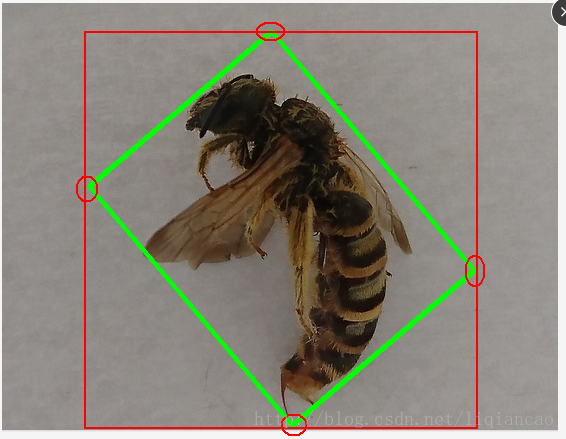 基于opencv的抠图opencv 抠图 Csdn博客 