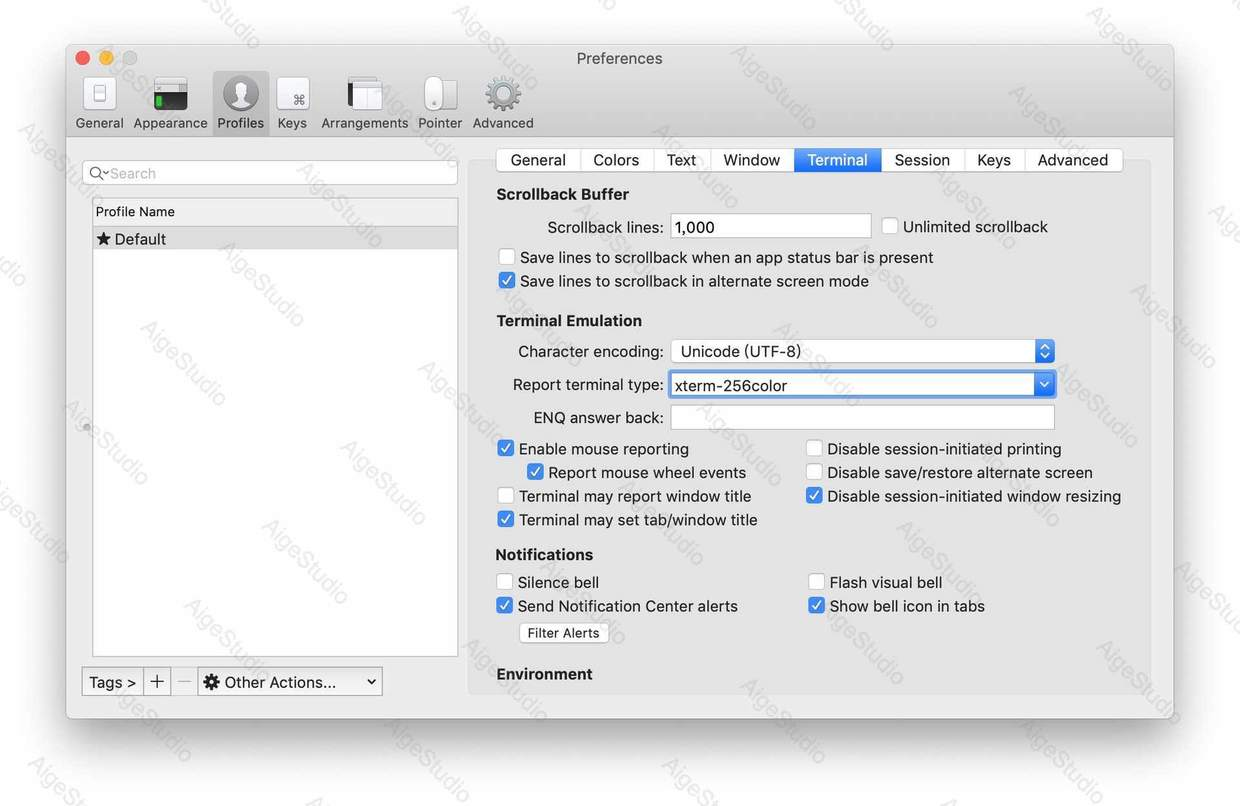 巧用 iTerm2 & zsh & oh-my-zsh 打造炫酷的 MacOS 终端环境_iterm2终端配置icon-CSDN博客
