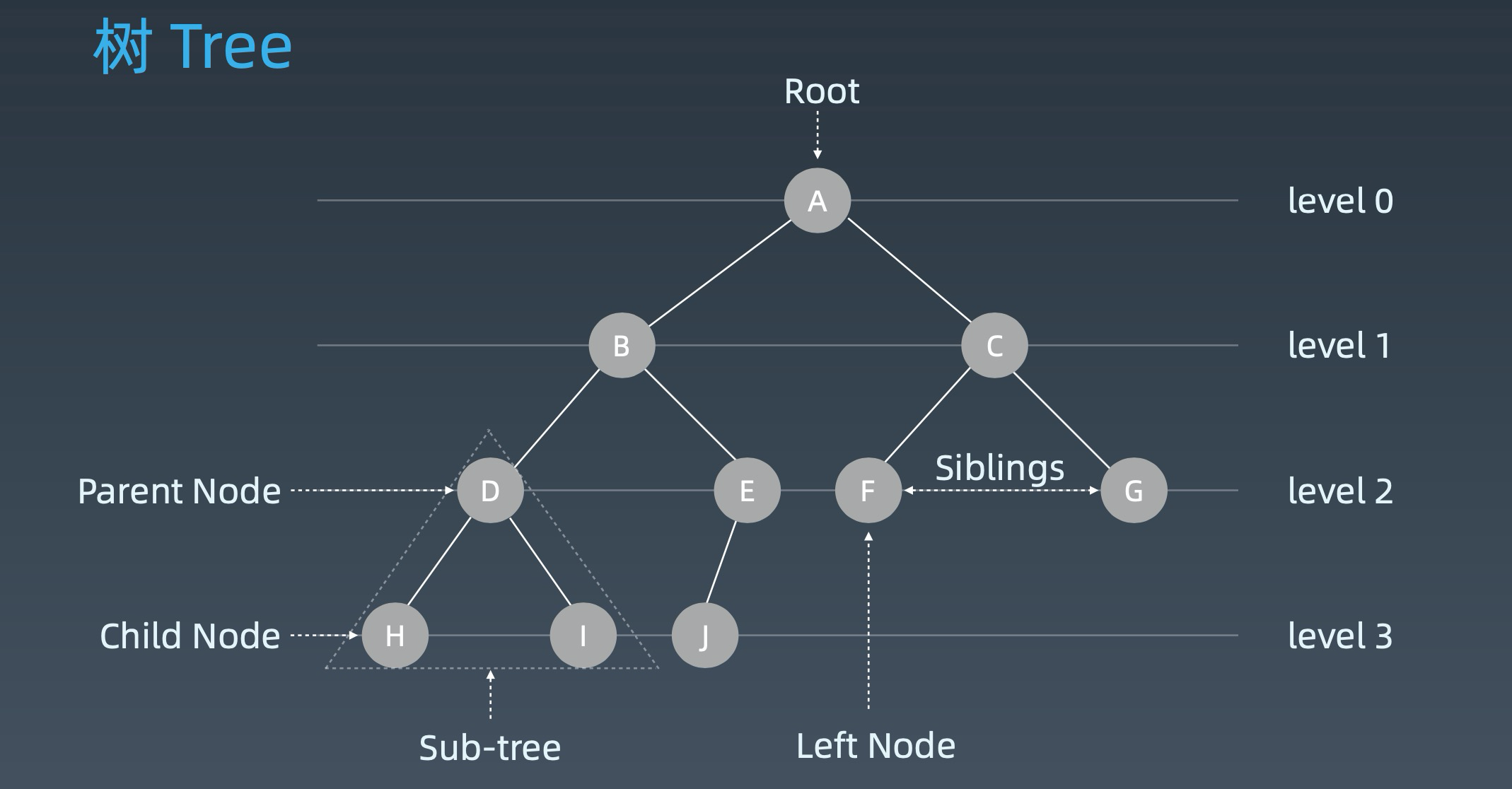13.Trie树的基本实现与特性_class trienode(object):-CSDN博客