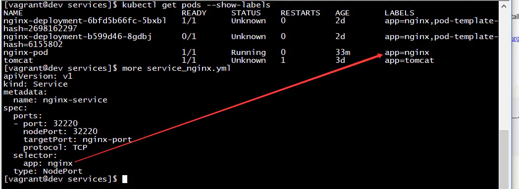 k8s的NodePort类型Service以及Label的简单实用_service labels-CSDN博客
