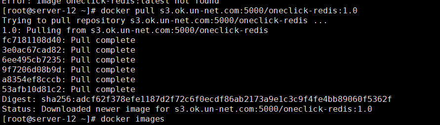 Docker Hub私服Registry搭建与使用_docker registry insecure-registries-CSDN博客