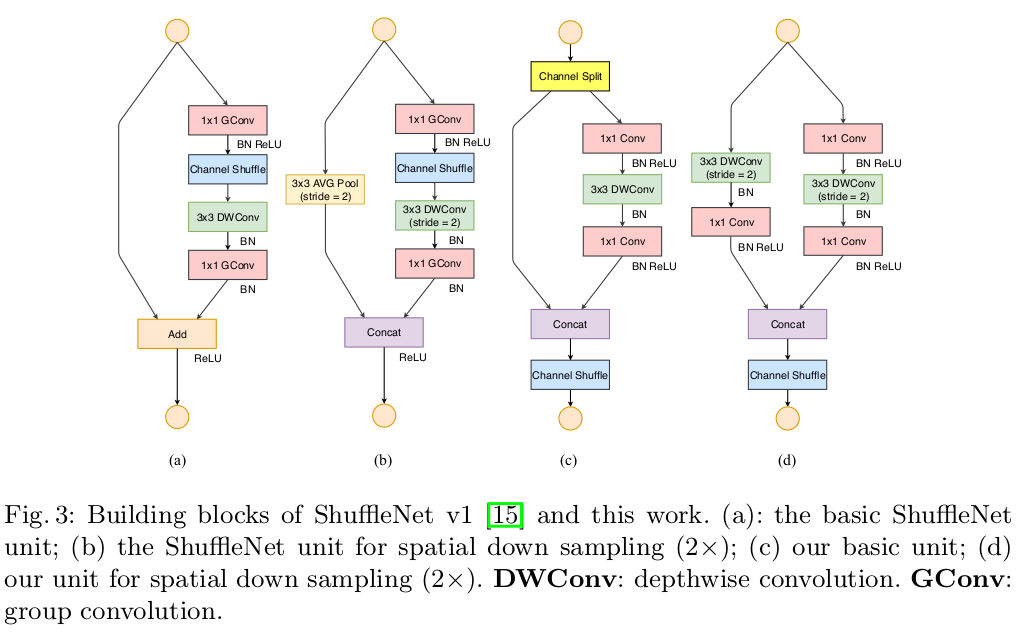 ShuffleNet V2: Practical Guidelines for Efficient CNN Architecture Design_shuflenet v2 ...