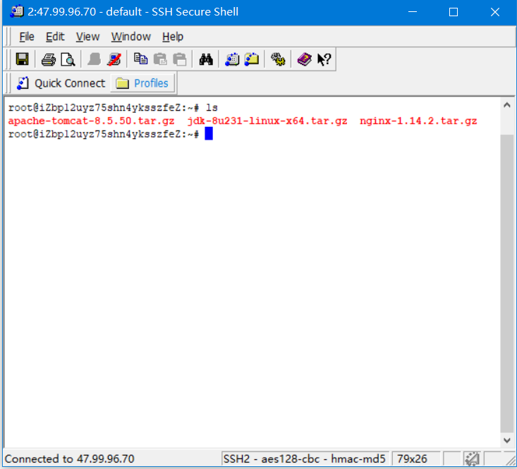 阿里云ECS之下载与安装SSH(二)_阿里云服务器ssh连接工具怎么下载-CSDN博客