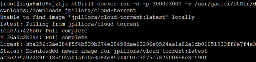 Docker一键部署cloud-torrent实现不限速下载BT文件-CSDN博客