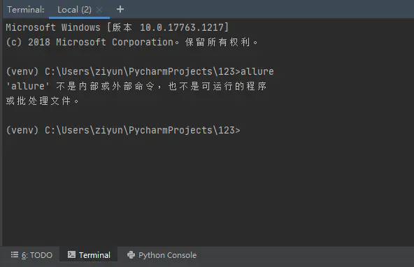 Python+selenium自动化，Allure包不生成index.html文件，解决方法_allure generate没有出现html报告-CSDN博客