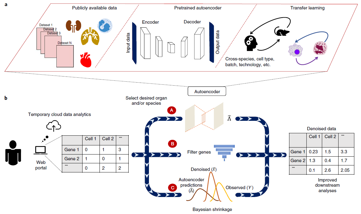 Nature Methods | 新软件SAVER-X可对单细胞转录组学数据进行有效降噪_AIPuFu的博客-CSDN博客