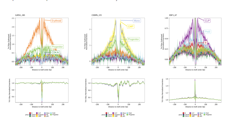 使用ArchR分析单细胞ATAC-seq数据(第十四章)-CSDN博客