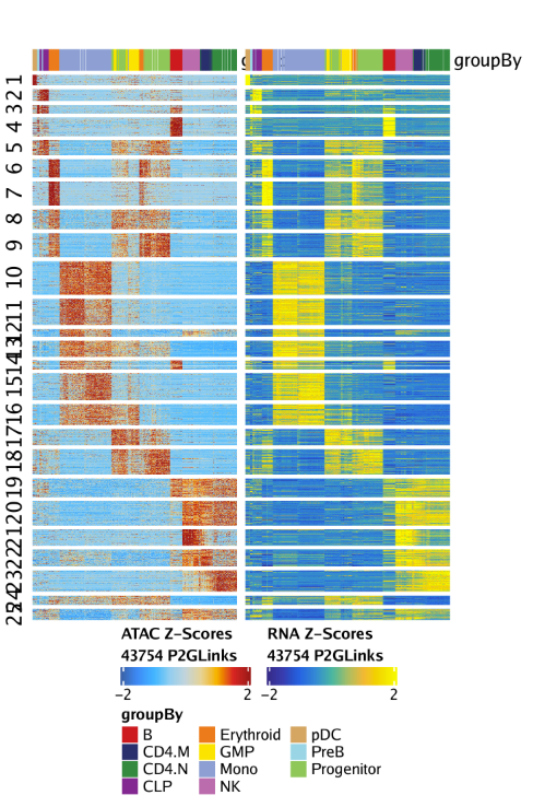 使用ArchR分析单细胞ATAC-seq数据(第十五章)-CSDN博客