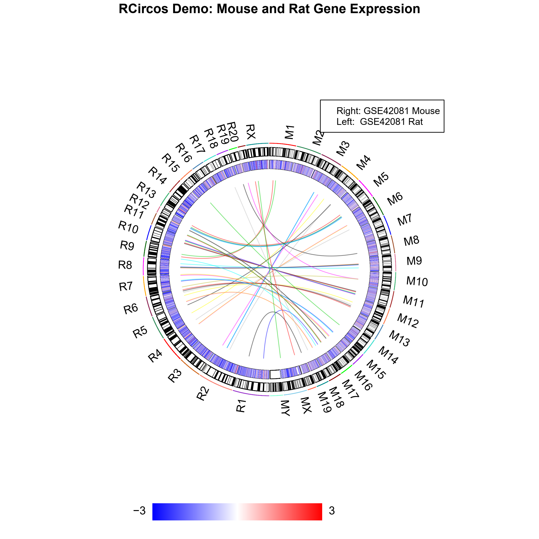 RCircos包绘制染色体模式图_2020-04-01_error in rcircos.validate.genomic.data(genomic.dat-CSDN博客