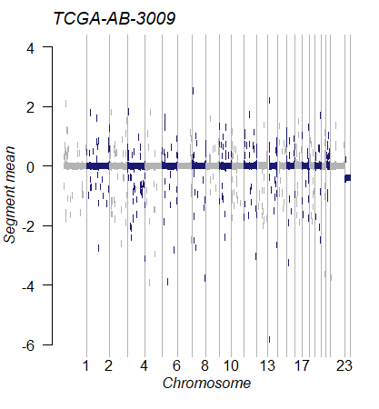 CNV拷贝数变异分析（GISTIC在线分析、maftools)-CSDN博客
