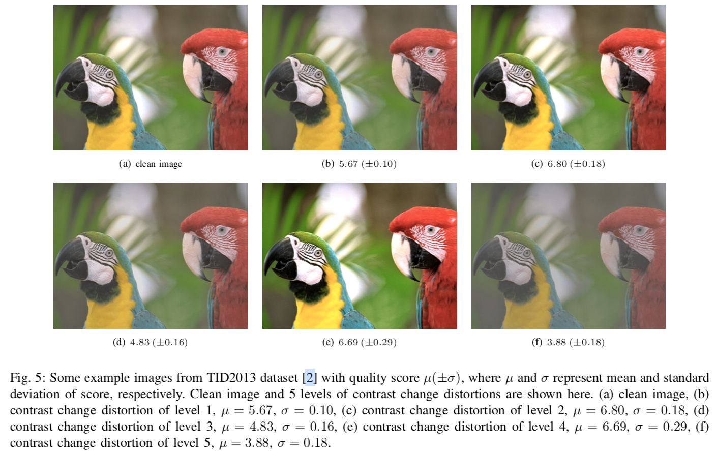 图像质量评估-NIMA（Neural Image Assessment）_nima: neural image assessment-CSDN博客