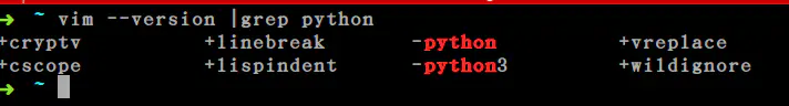 Vim 开启python/python3支持_vim python3支持-CSDN博客