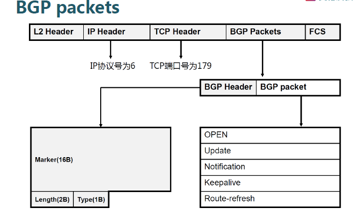 BGP基础部分_Sisyphuss Blog-CSDN博客